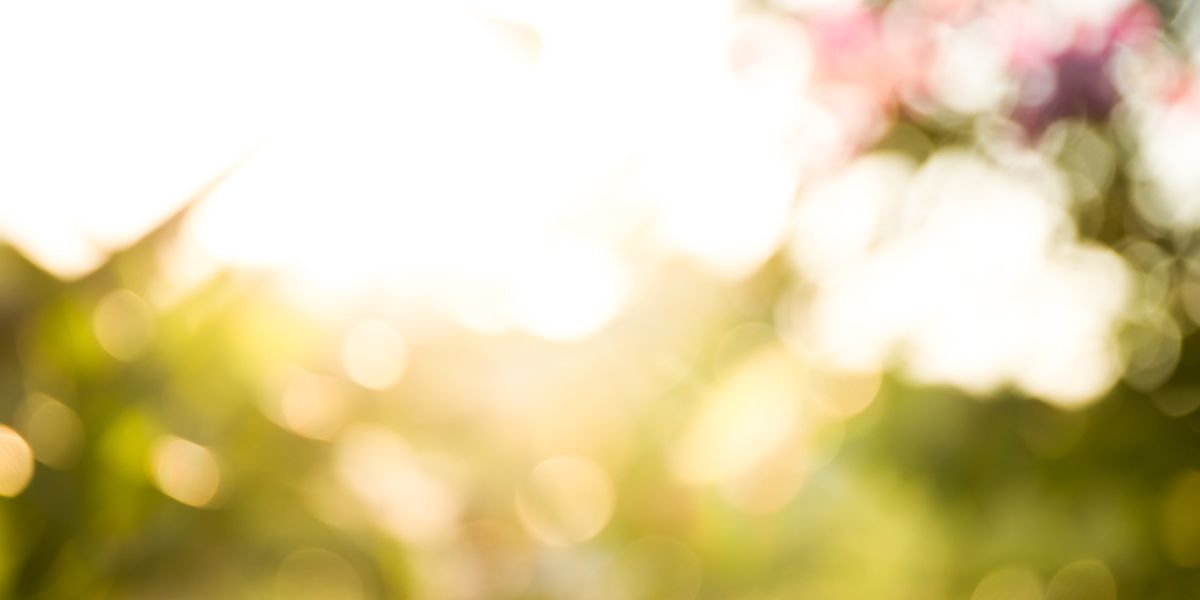 14 – The Belleville Public Library