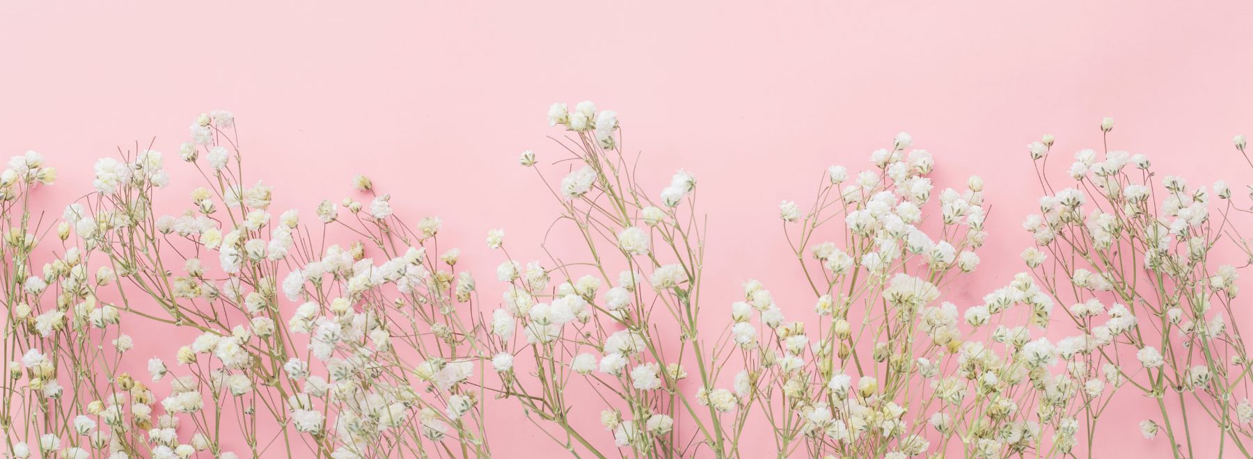 ESL BG Spring 2025 – (3) – The Belleville Public Library