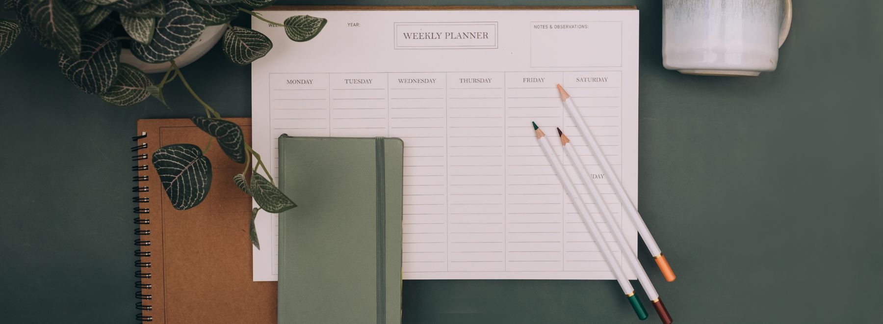 ESL BG Spring 2025 – (7) – The Belleville Public Library